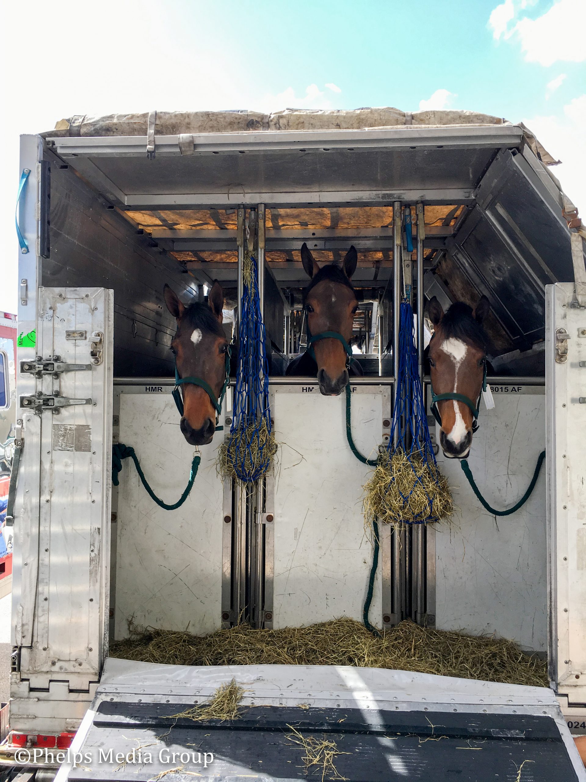 USDA Updates on Equine Testing During Import Quarantine – EquiJet, LLC